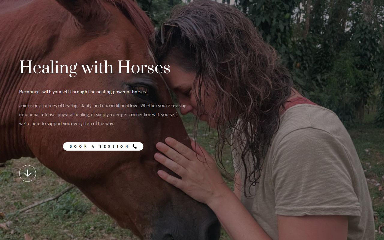 Healing with horses